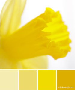 Farbinspirationen - - Seite 2 von 19